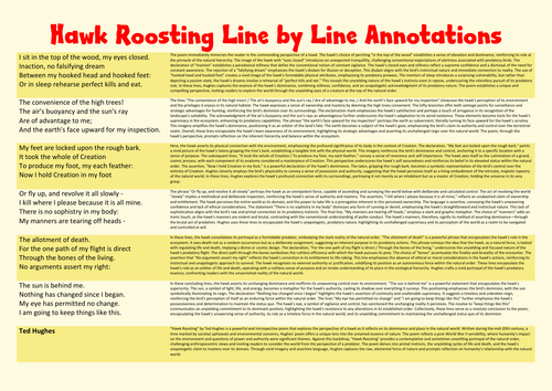 Hawk Roosting Line by Line Annotations | Teaching Resources Hawk Roosting Line by Line Annotations | Teaching Resources