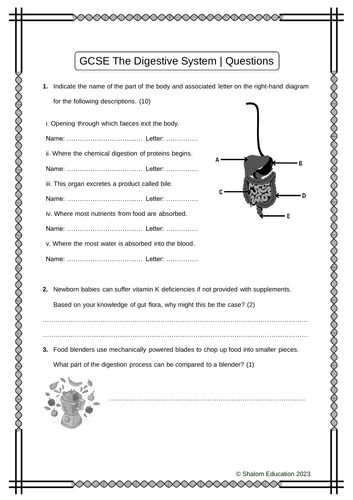 GCSE Biology - The Digestive System Practice Questions | Teaching Resources