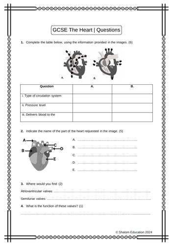 GCSE Biology - The Heart Practice Questions | Teaching Resources