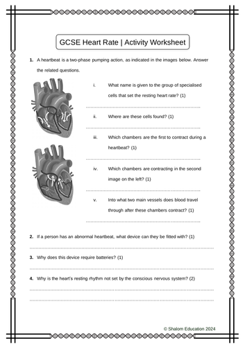 GCSE Biology - Heart Rate Activity Worksheet | Teaching Resources