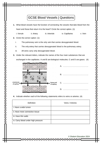 GCSE Biology - Blood Vessels Practice Questions | Teaching Resources