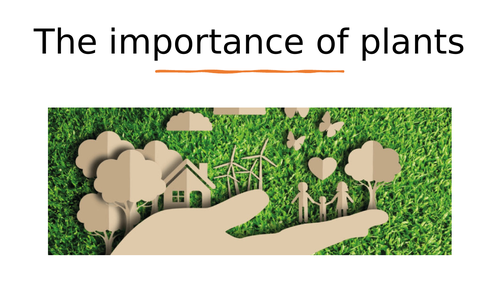 The importance of plants KS3 | Teaching Resources