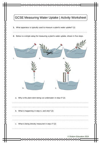 GCSE Biology - Measuring Water Uptake Activity Worksheet | Teaching ...