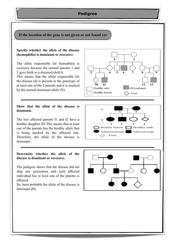 Human genetics | Teaching Resources