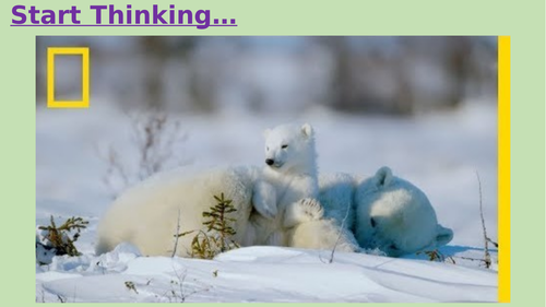 Climate change in the Arctic | Teaching Resources