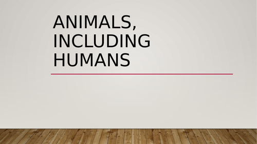 Animals and Habitats: Primary Science Teaching Resources ǀ Tes