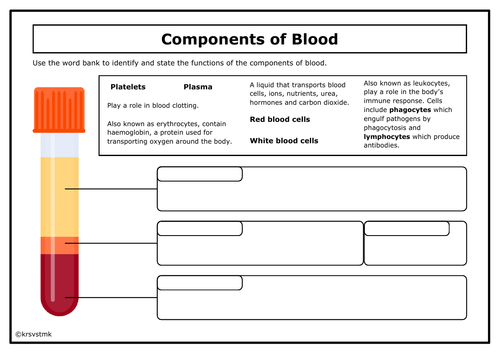 Components of Blood + Answers Included | Teaching Resources