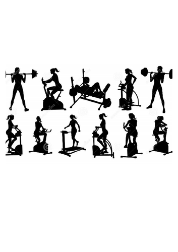 Physical Education Theory booklet | Teaching Resources