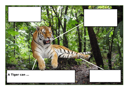 Tiger labeling activity | Teaching Resources