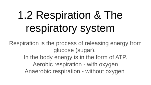 Respiratory system | Teaching Resources