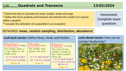 Quadrants and transects theory lesson | Teaching Resources