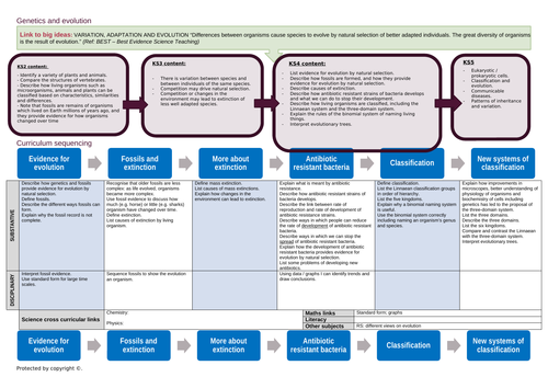 KS4 Genetics & Evolution curriculum framework | Teaching Resources
