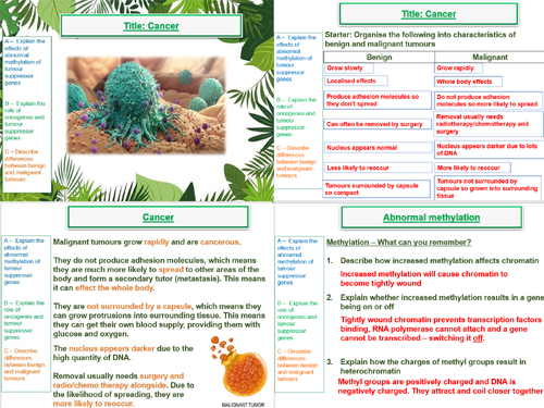 Gene expression and cancer - AQA A Level Biology- 20. Gene expression ...