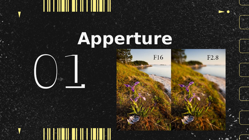 Mini World Photography | Teaching Resources