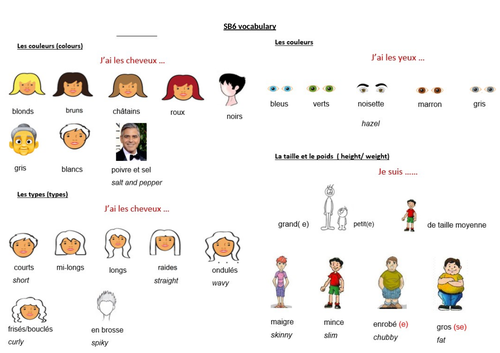 y7 SB6- Tu es comment physiquement? a set of 4 lessons to describe hair ...