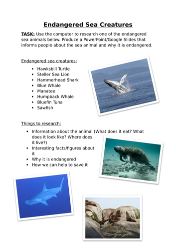Cover Lesson - Endangered Sea Animals | Teaching Resources