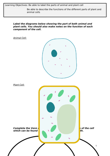 Plant and Animal Cells | Teaching Resources
