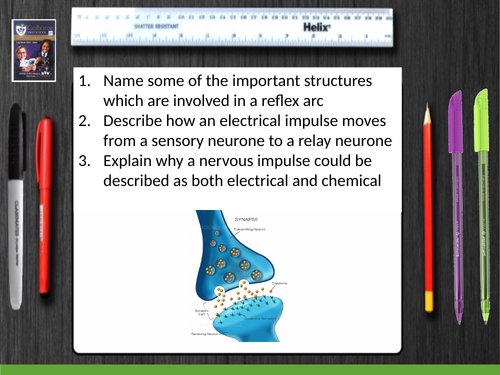 Homeostasis - separate science lessons | Teaching Resources Homeostasis - separate science lessons | Teaching Resources