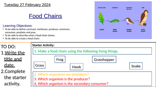 KS3 Biology Food Chains: Complete Lesson | Teaching Resources