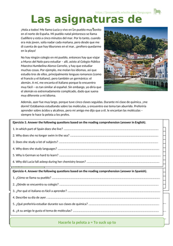 Spanish Reading Comprehension - Subjects | Teaching Resources