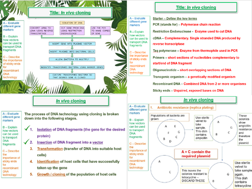 In Vivo cloning - AQA A Level Biology- 21. Recombinant DNA Technology ...