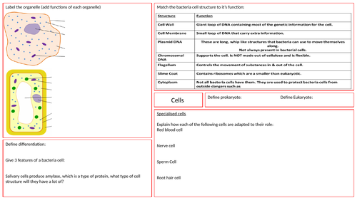 Cells Revision Mat | Teaching Resources