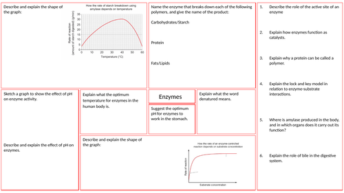 Enzymes Revision Mat | Teaching Resources