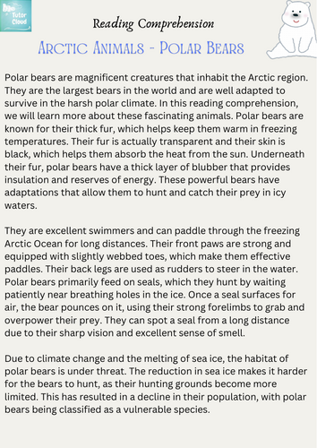 Animals – Reading Comprehension - Polar Bears | Teaching Resources