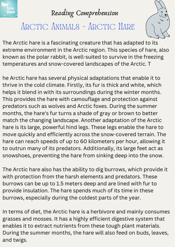 Arctic Animals - Arctic Hare – Reading Comprehension | Teaching Resources