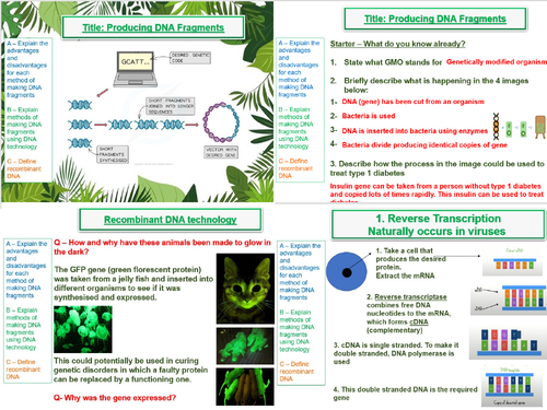 Recombinant DNA Technology- AQA A Level Biology (A2- Topic 21) -Topic ...