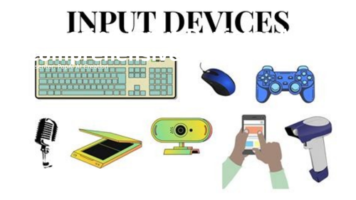 Input Devices Teaching Resources