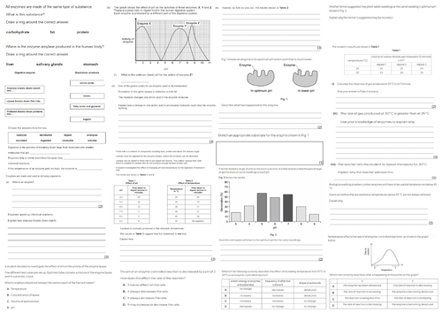 IGCSE CIE A3 Exam sheet - Enzymes | Teaching Resources IGCSE CIE A3 Exam sheet - Enzymes | Teaching Resources