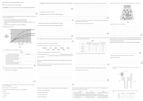 IGCSE CIE A3 Exam sheet - Excretion | Teaching Resources IGCSE CIE A3 Exam sheet - Excretion | Teaching Resources
