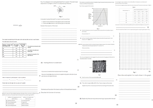 IGCSE CIE A3 Exam sheet - Plant Nutrition | Teaching Resources