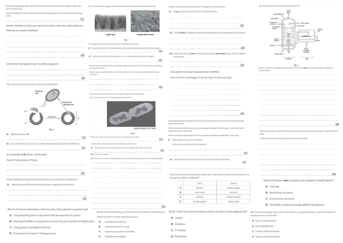 IGCSE CIE A3 Exam sheet - Biotechnology and Genetic Modification ...