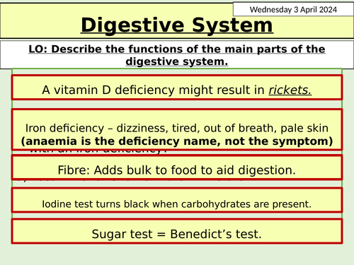 Ks3 Biology Digestive System Teaching Resources