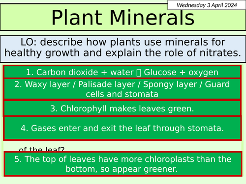 KS3 Biology: Plant Minerals | Teaching Resources
