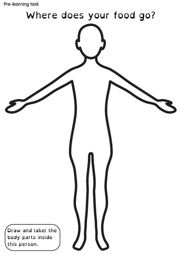 digestive system pre-learning assessment task | Teaching Resources