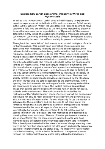 Larkin Poetry essay | Teaching Resources