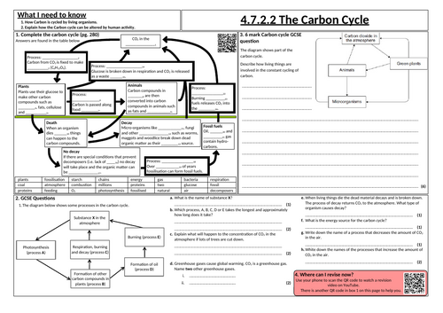 The Carbon Cycle | Teaching Resources