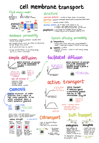 Medical Science - Transport across the membrane | Teaching Resources