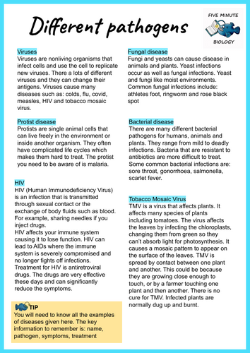GCSE AQA Biology Triple Science Pathogens revision sheets Higher Tier ...