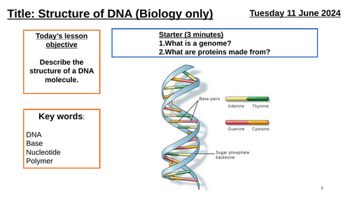 AQA GCSE Biology "Lesson 2 - Structure of DNA" BIO ONLY (Inheritance ...