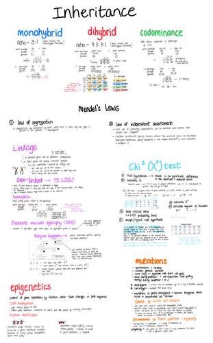 WJEC Biology - Inheritance | Teaching Resources