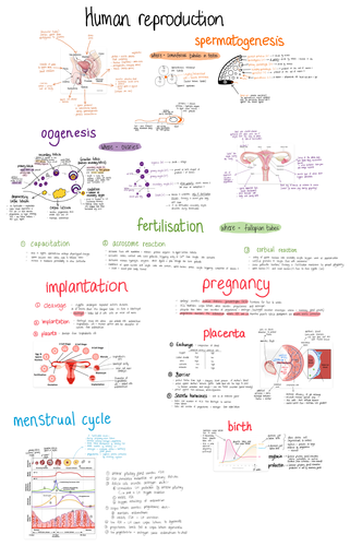 WJEC Biology - Animal reproduction | Teaching Resources