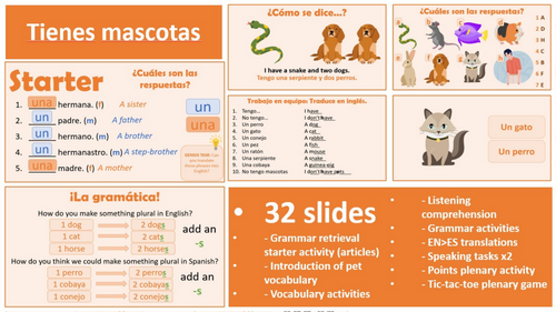 Viva 1, Module 1.5 - Tienes mascotas | Teaching Resources