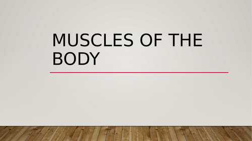Muscles of the body | Teaching Resources