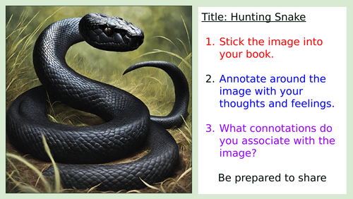 Judith Wright, ‘Hunting Snake | Teaching Resources