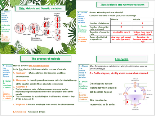 Meiosis and genetic variation- AQA A Level Biology (AS Level)- 9 ...