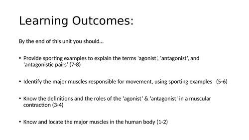 EDUQAS GCSE PE Muscular System | Teaching Resources EDUQAS GCSE PE Muscular System | Teaching Resources